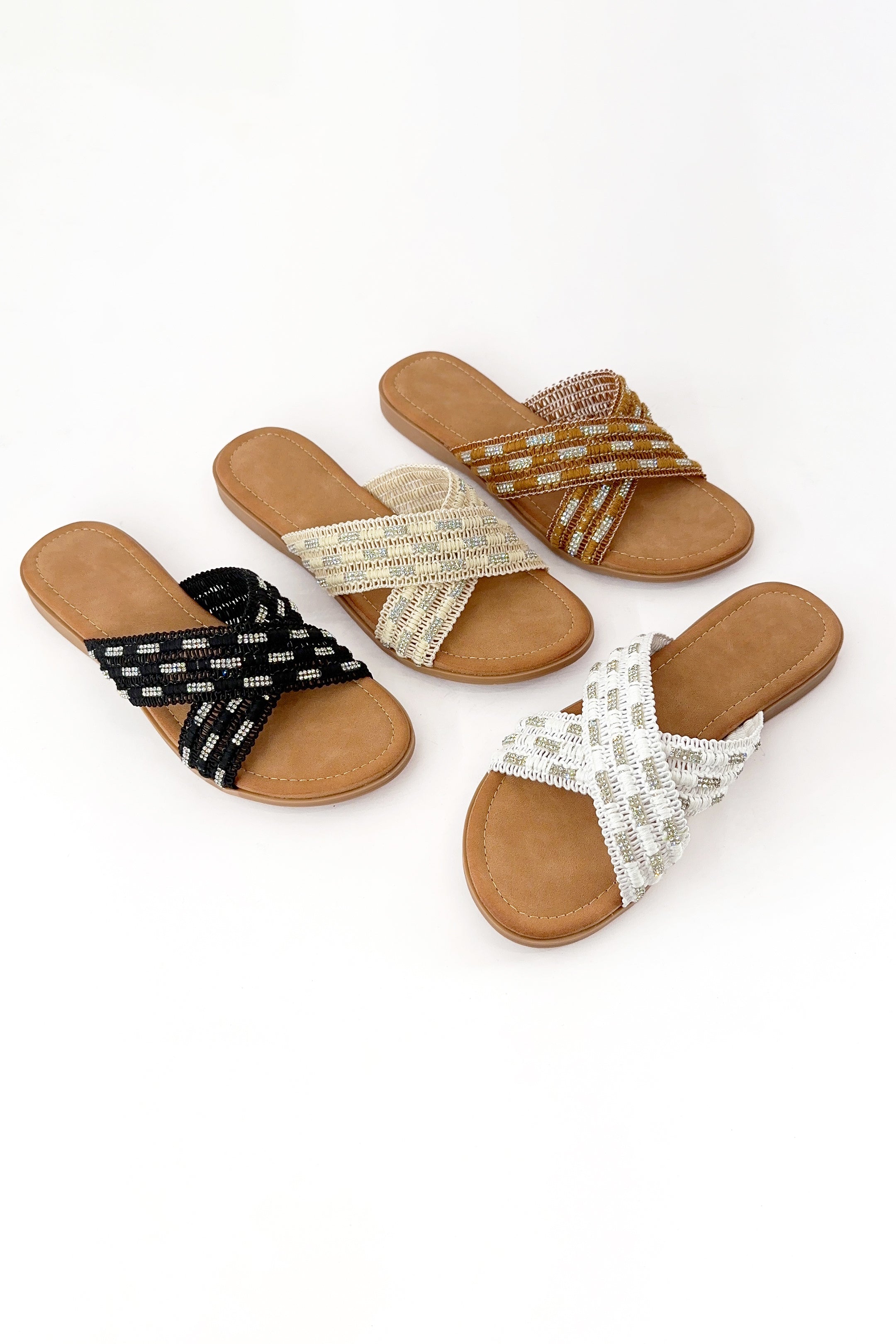 AMPLE-104 – CCOCCI