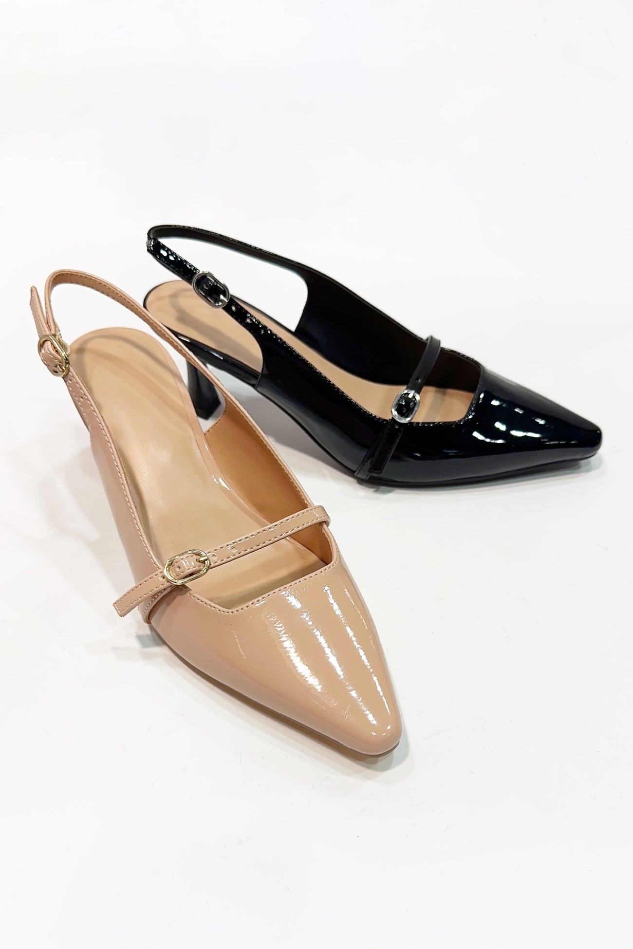 SCARLET-01 – CCOCCI