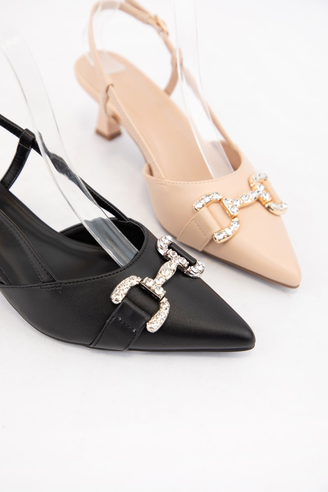 ALEENA-25 – CCOCCI