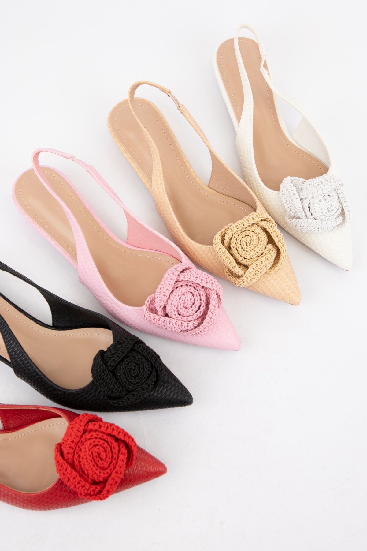 COMPETE-01 – CCOCCI