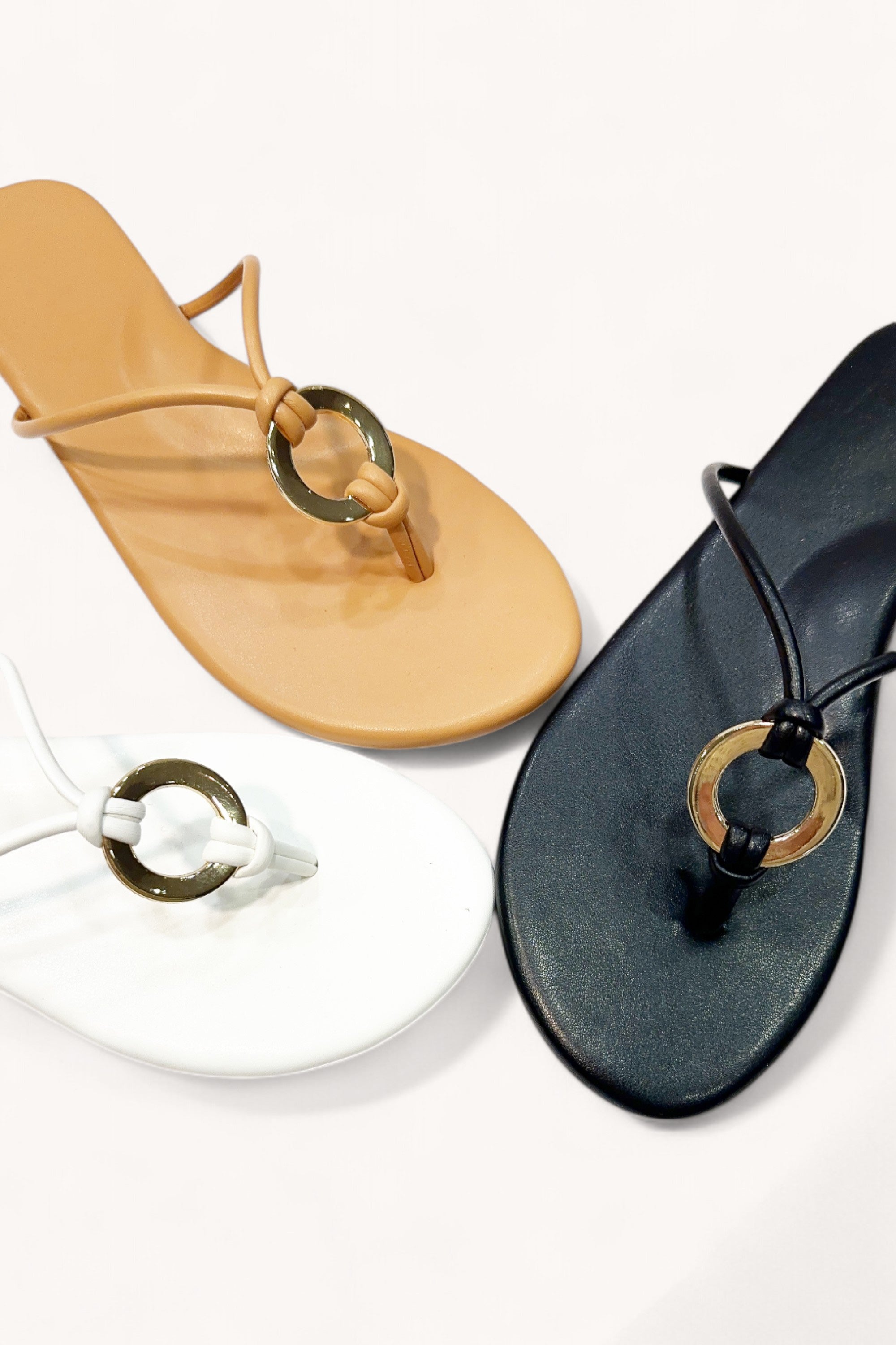 SQUISHY-15 – CCOCCI